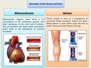 Cardiovascular system | PPTX