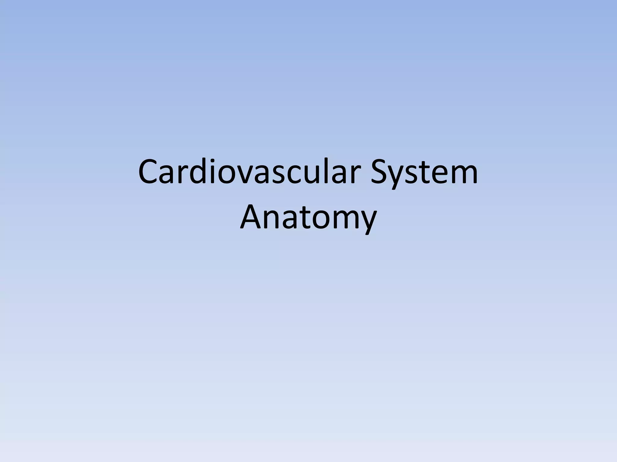Anatomy of the Cardiovascular system | PPTX