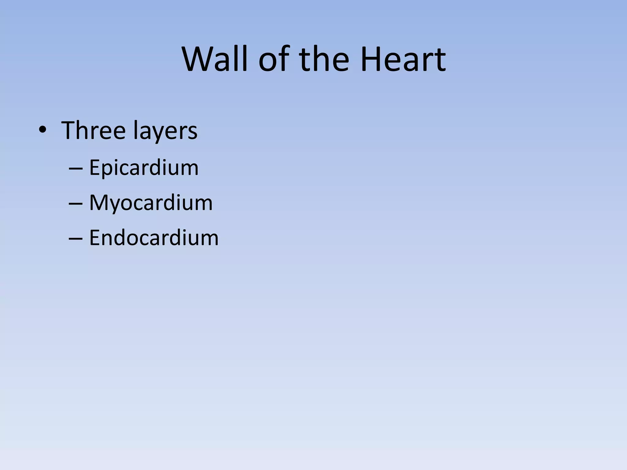Anatomy of the Cardiovascular system | PPTX