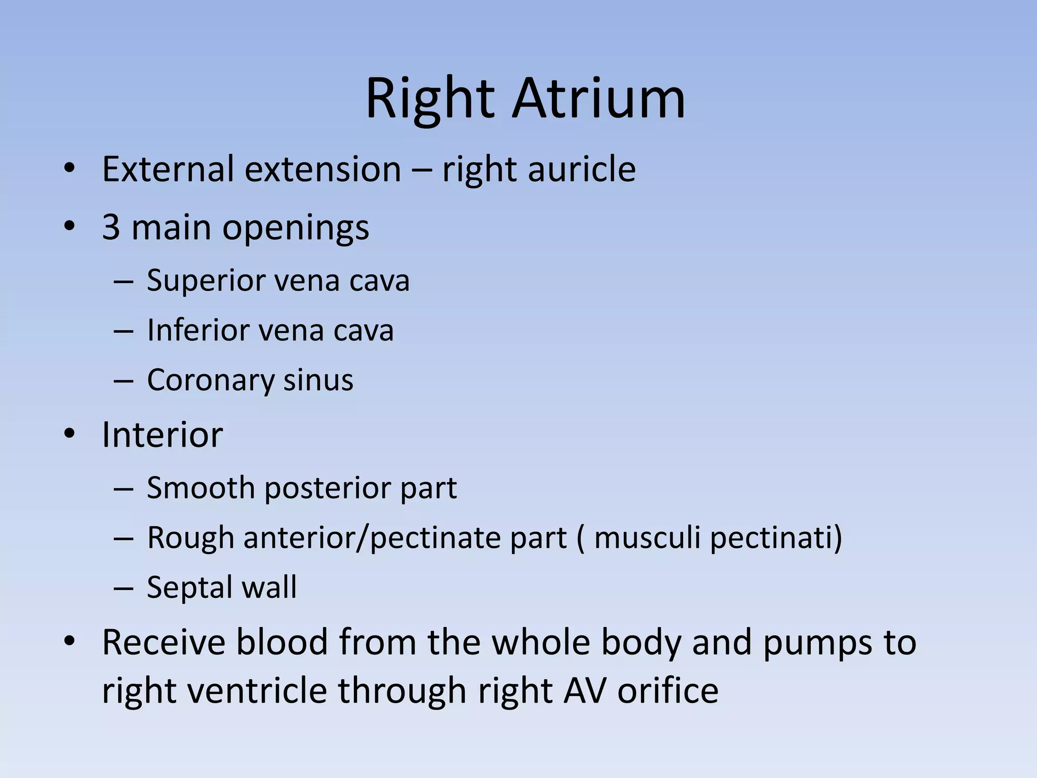 Anatomy of the Cardiovascular system | PPTX