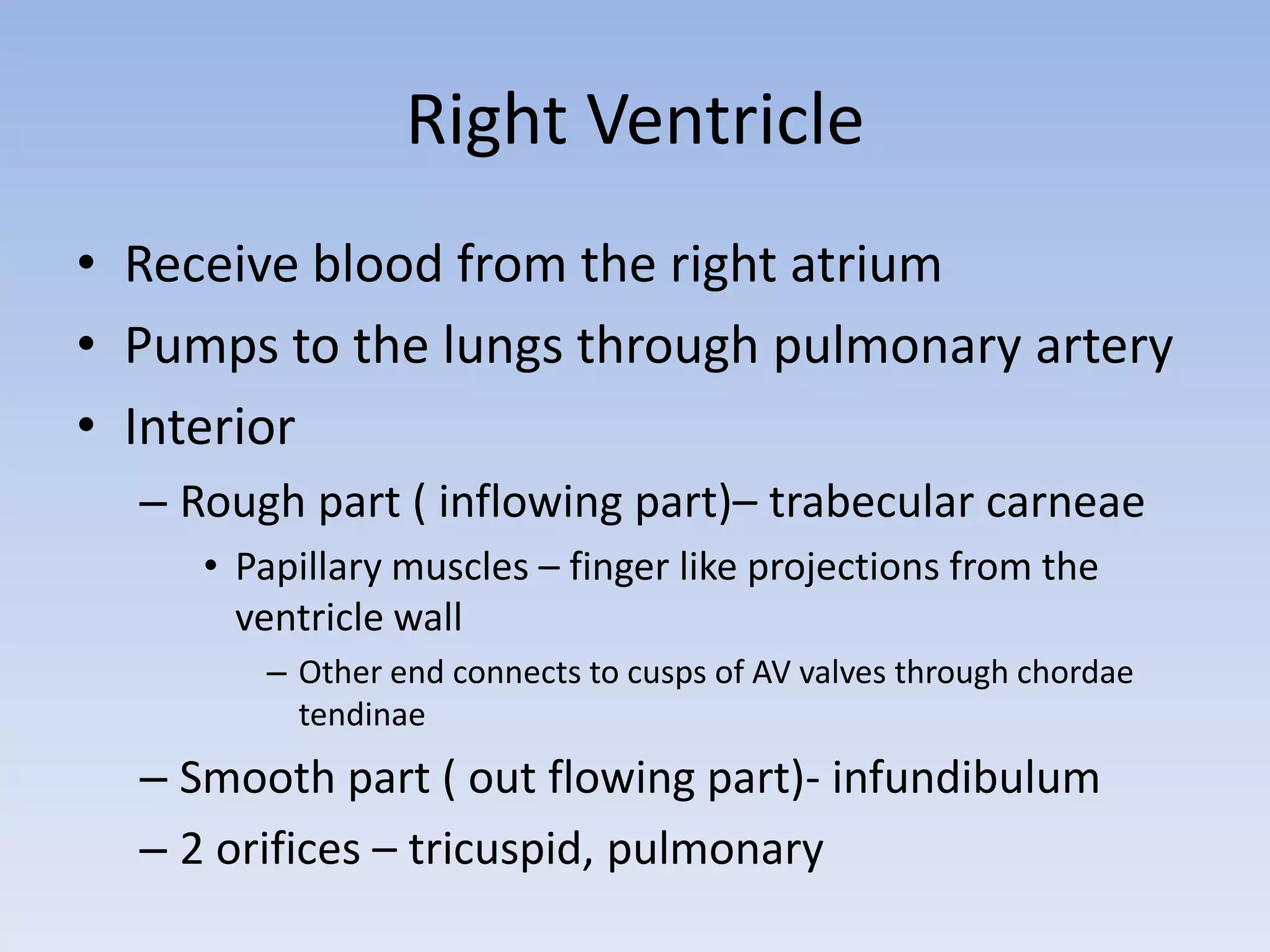 Anatomy of the Cardiovascular system | PPTX