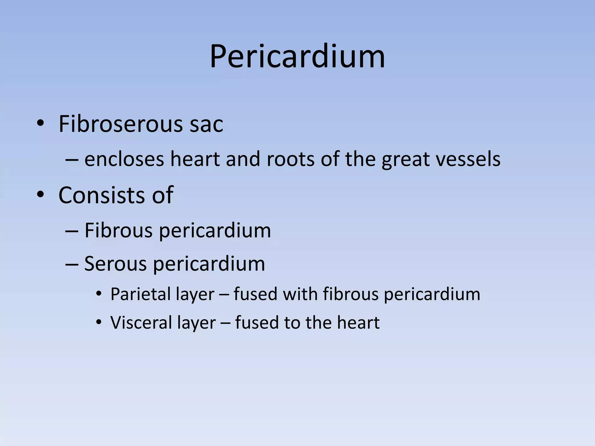 Anatomy of the Cardiovascular system | PPTX