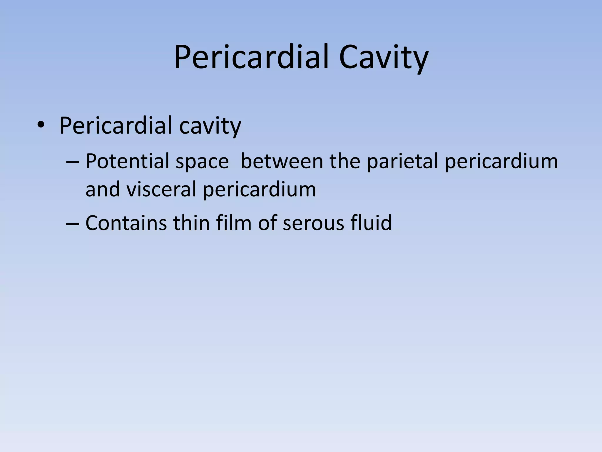 Anatomy of the Cardiovascular system | PPTX
