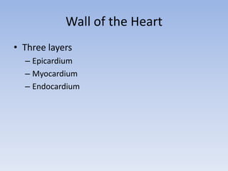 Anatomy of the Cardiovascular system | PPTX