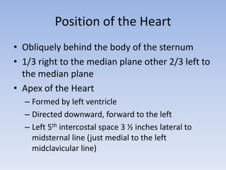 Anatomy of the Cardiovascular system | PPTX