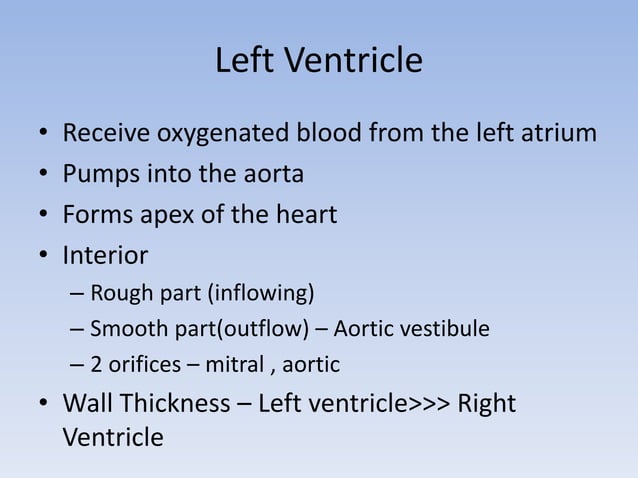 Anatomy of the Cardiovascular system | PPTX
