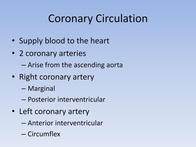 Anatomy of the Cardiovascular system | PPTX
