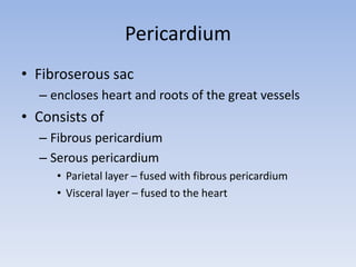 Anatomy of the Cardiovascular system | PPTX
