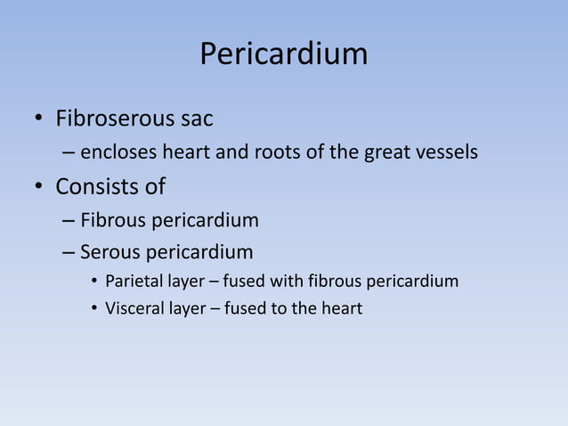 Anatomy of the Cardiovascular system | PPTX