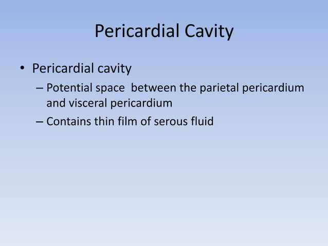 Anatomy of the Cardiovascular system | PPTX