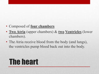 cardiovascularsystem-140313163432-phpapp01.pdf
