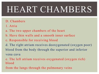 Cardiovascular system | PPTX