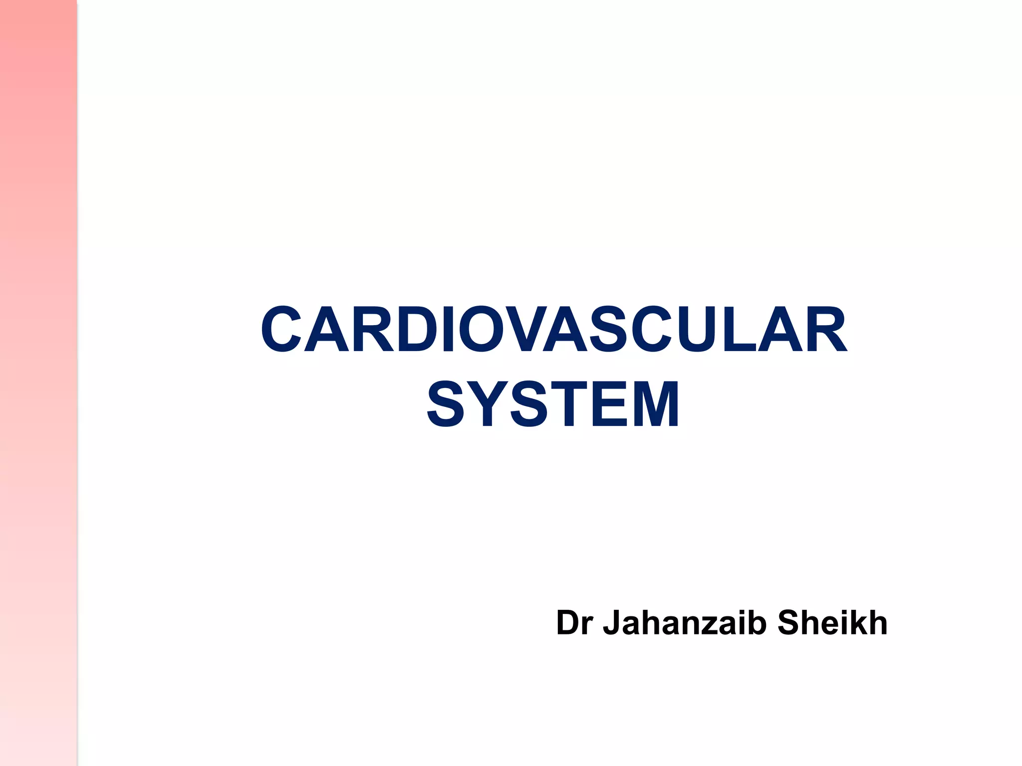 Cardiovascular system | PPT