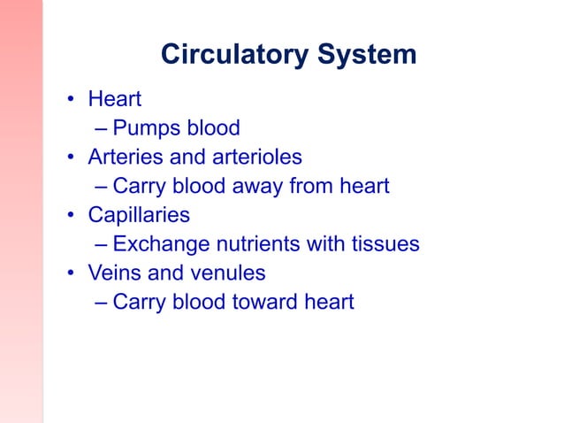 Cardiovascular system | PPT