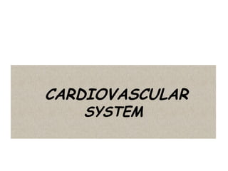 Cardiovascular system ppt | PPT