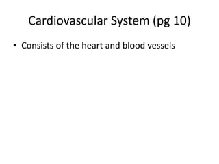 Cardiovascular system | PPTX