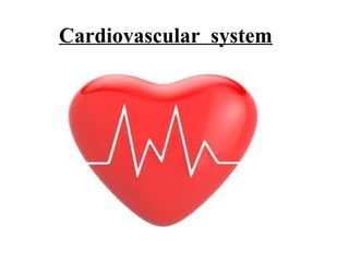 Cardio vascular system | PPT