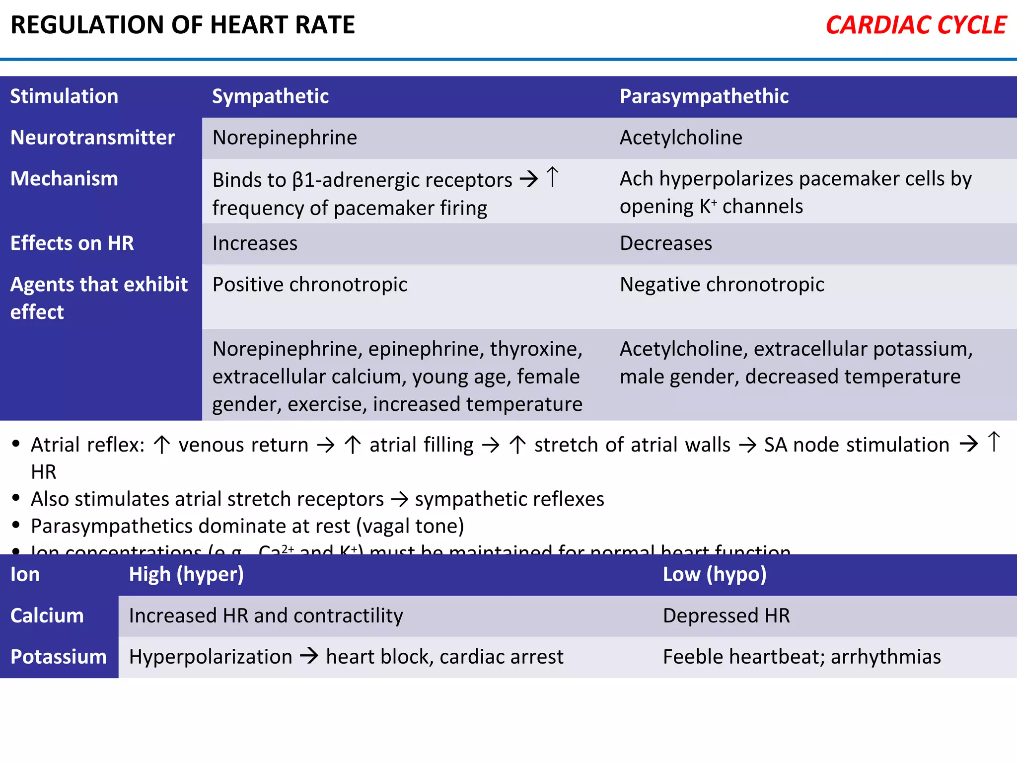 Cardiovascular system | PPT