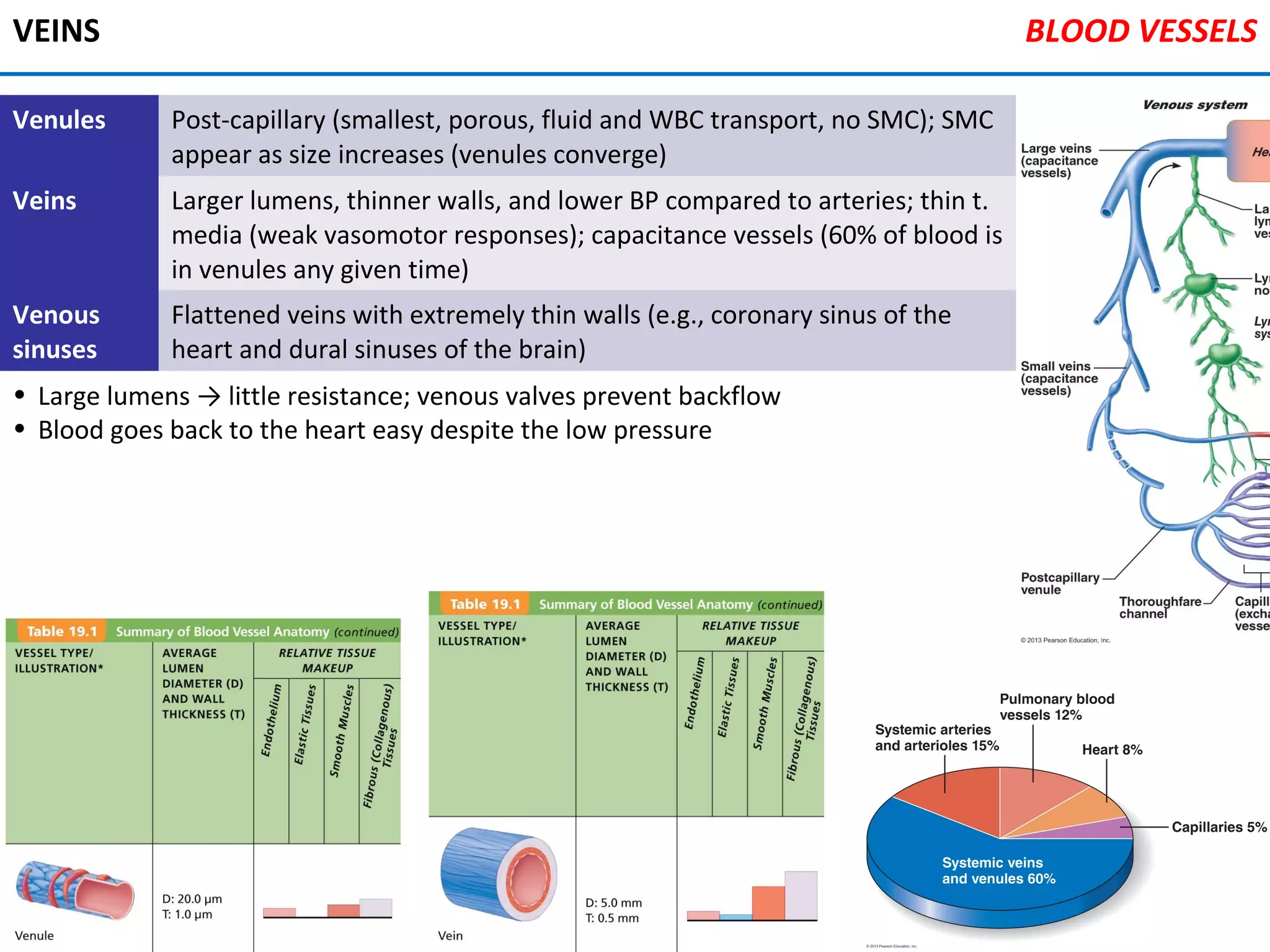 Cardiovascular system | PPT