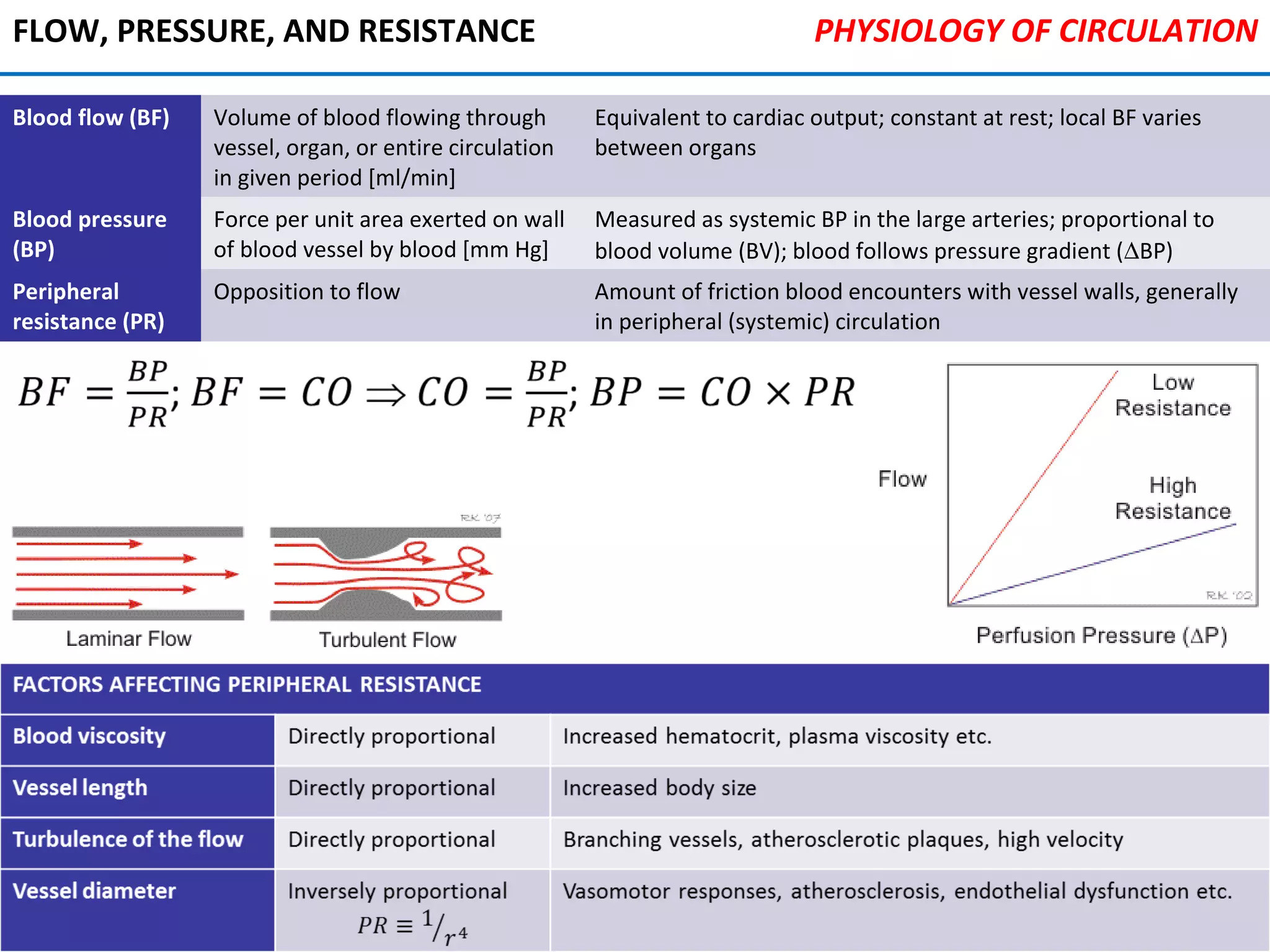 Cardiovascular system | PPT
