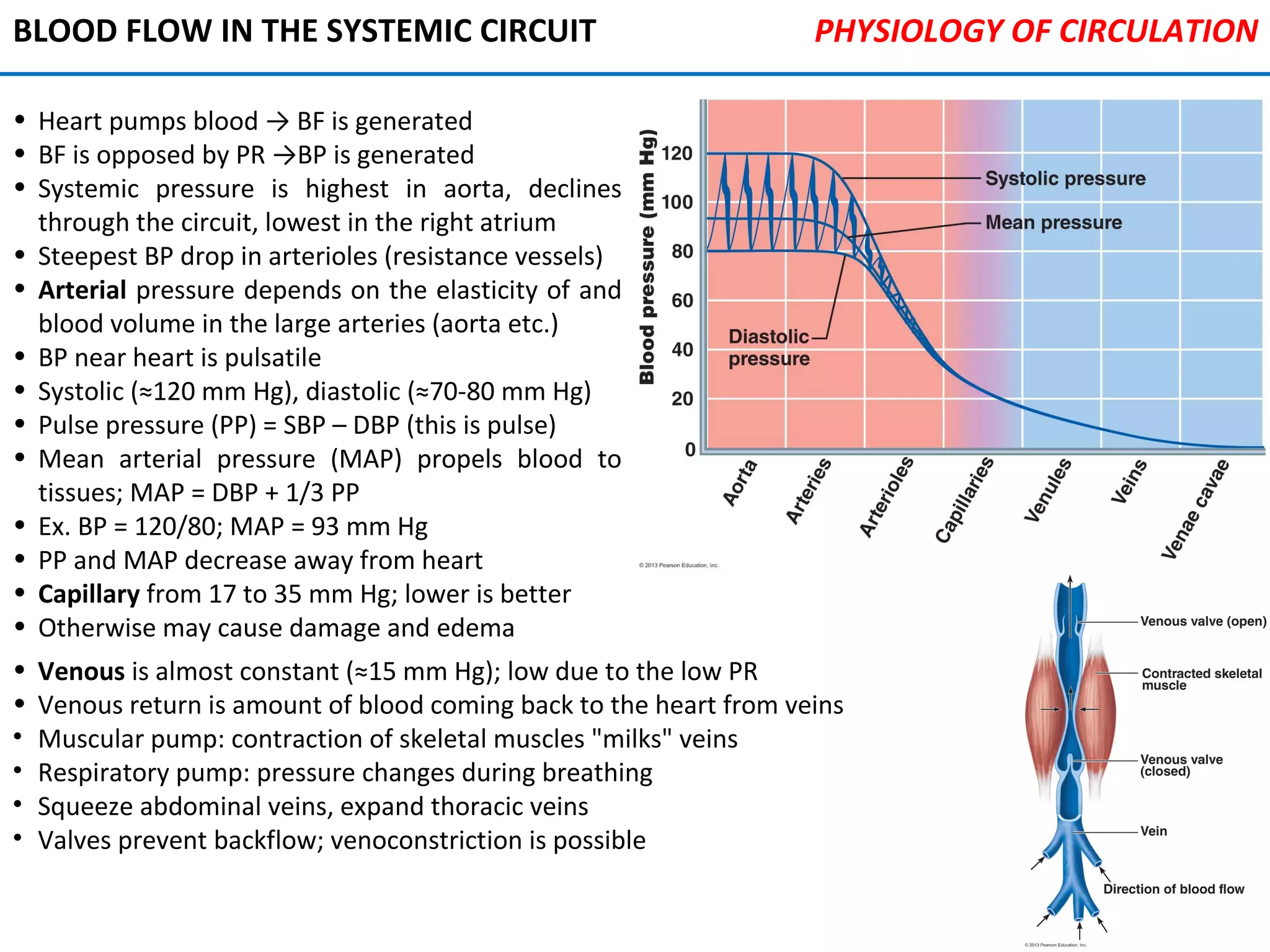 Cardiovascular system | PPT