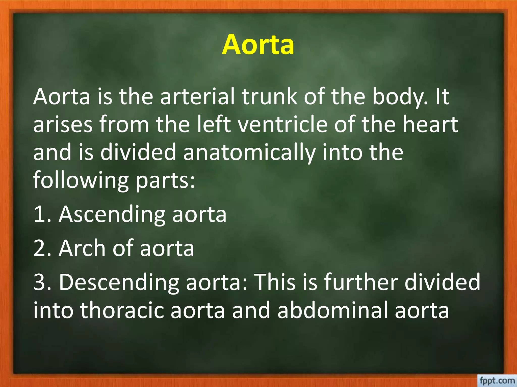 Cardiovascular system | PPTX