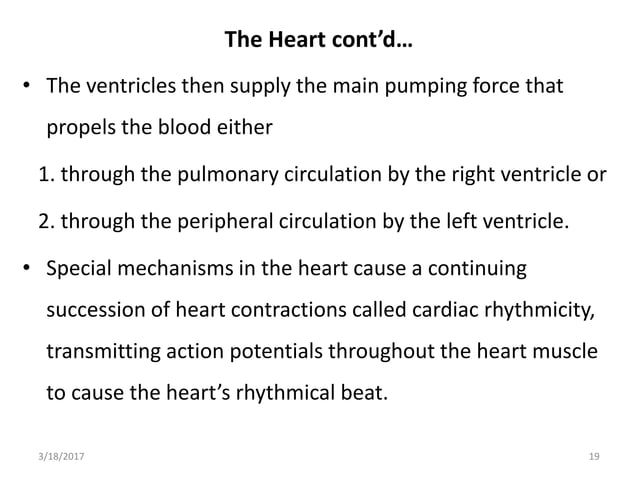 Cardiovascular system | PPT