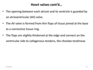 Cardiovascular system | PPTX
