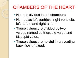 Cardiovascular system-CPT CODING | PPTX