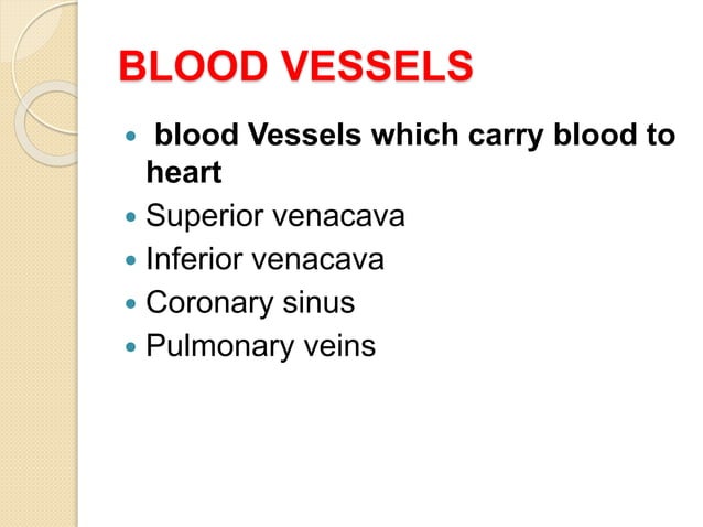 Cardiovascular system-CPT CODING | PPTX