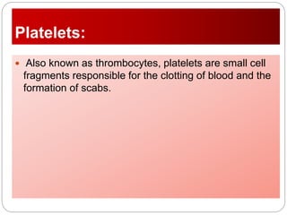 Cardiovascular system. | PPT