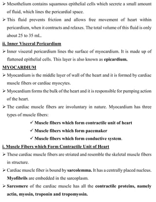 Cardiovascular system | PDF