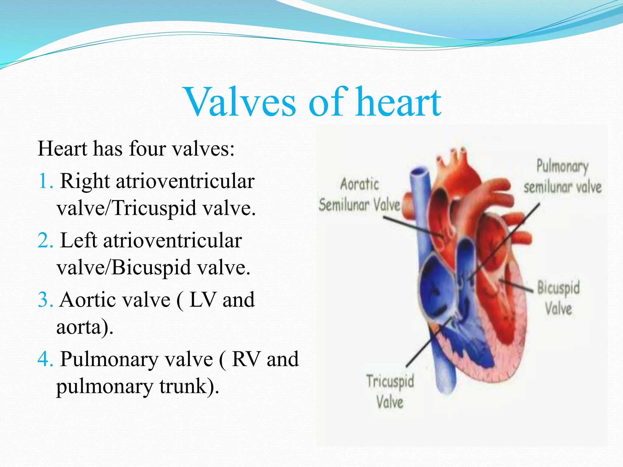 Cardio vascular system | PPTX
