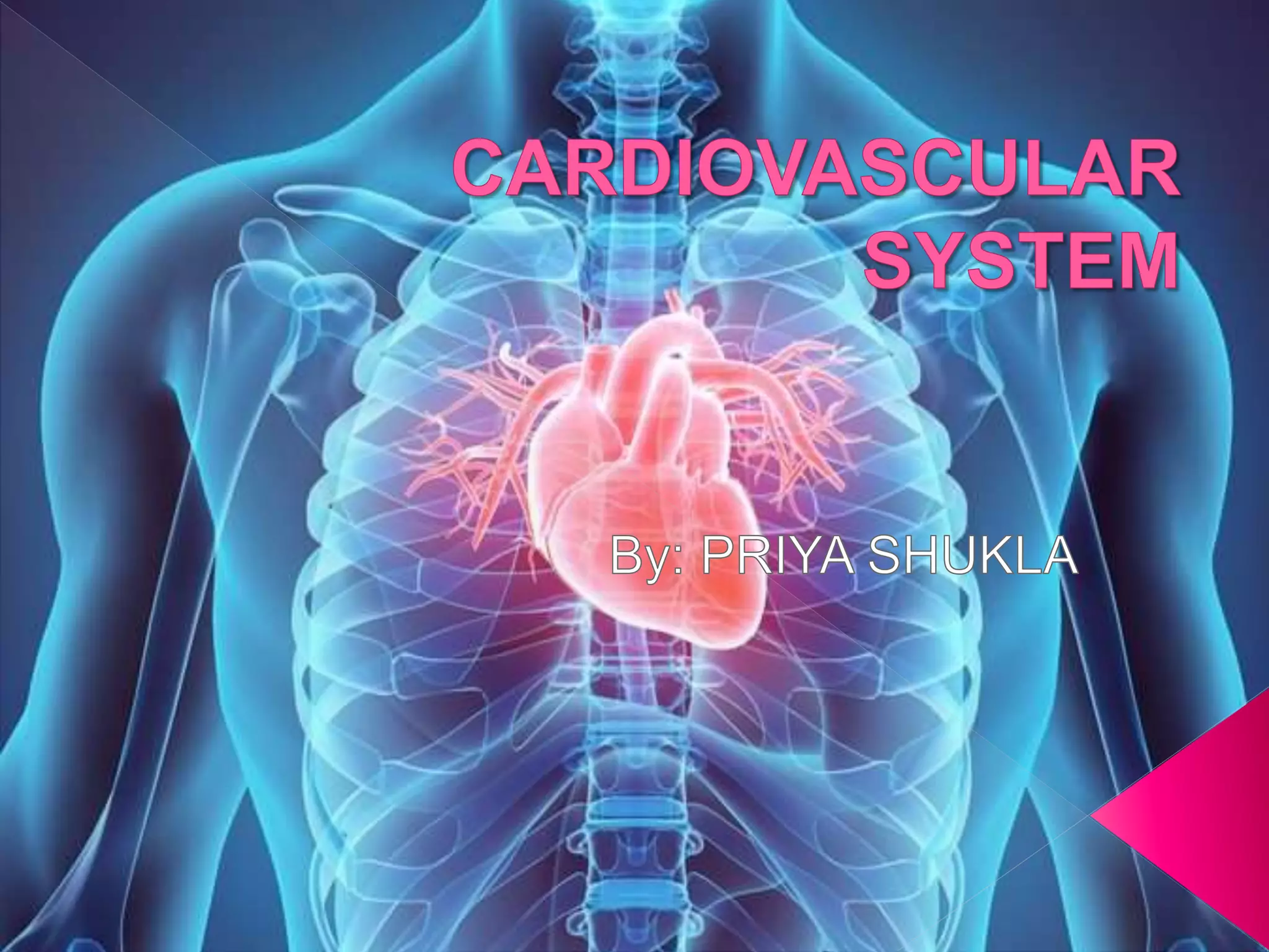 Cardiovascular system | PPT