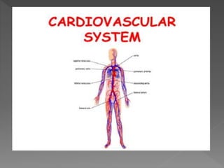 Cardiovascular system | PPTX | Heart and Cardiovascular Diseases ...