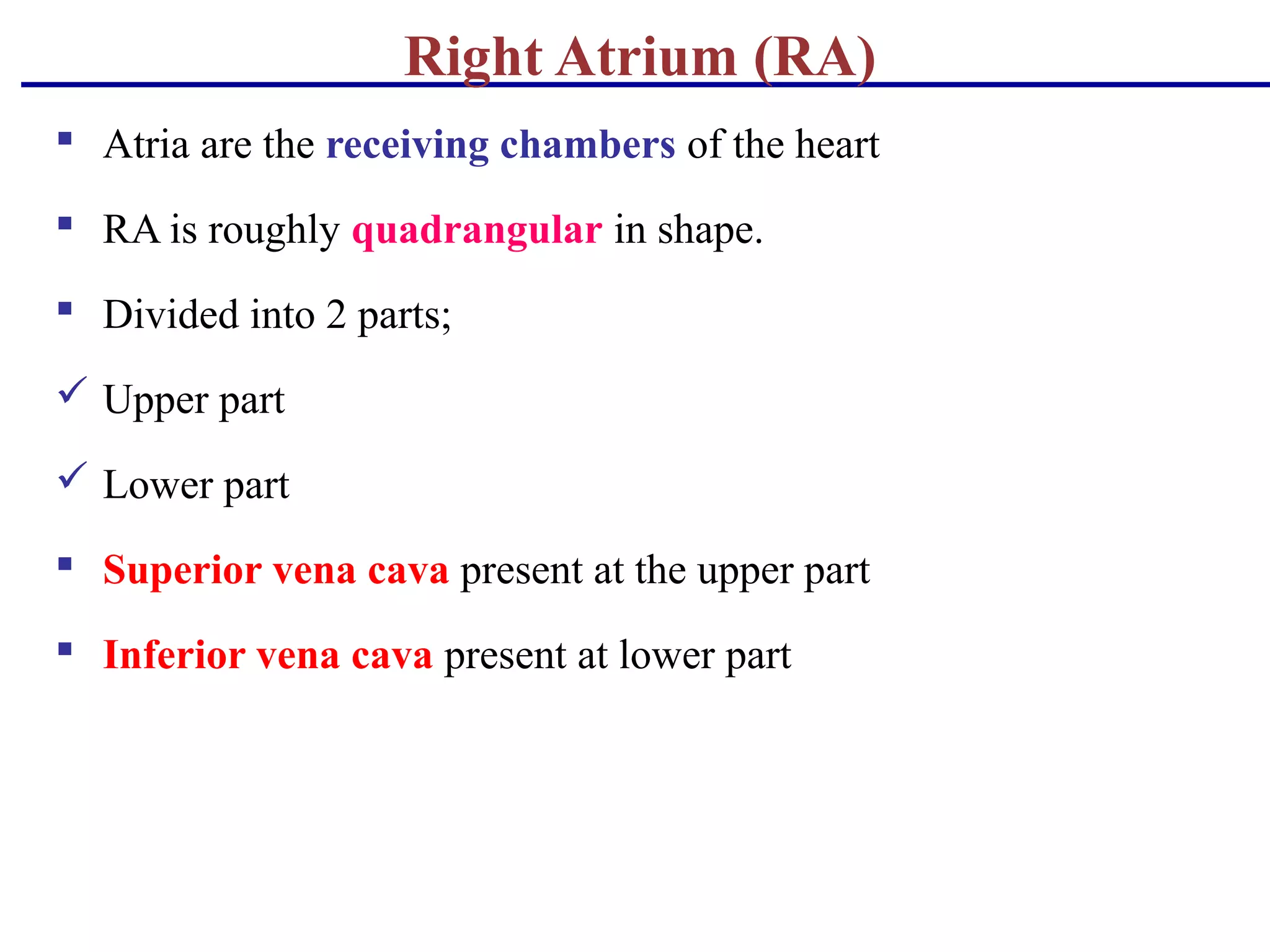 Cardiovascular system | PPT