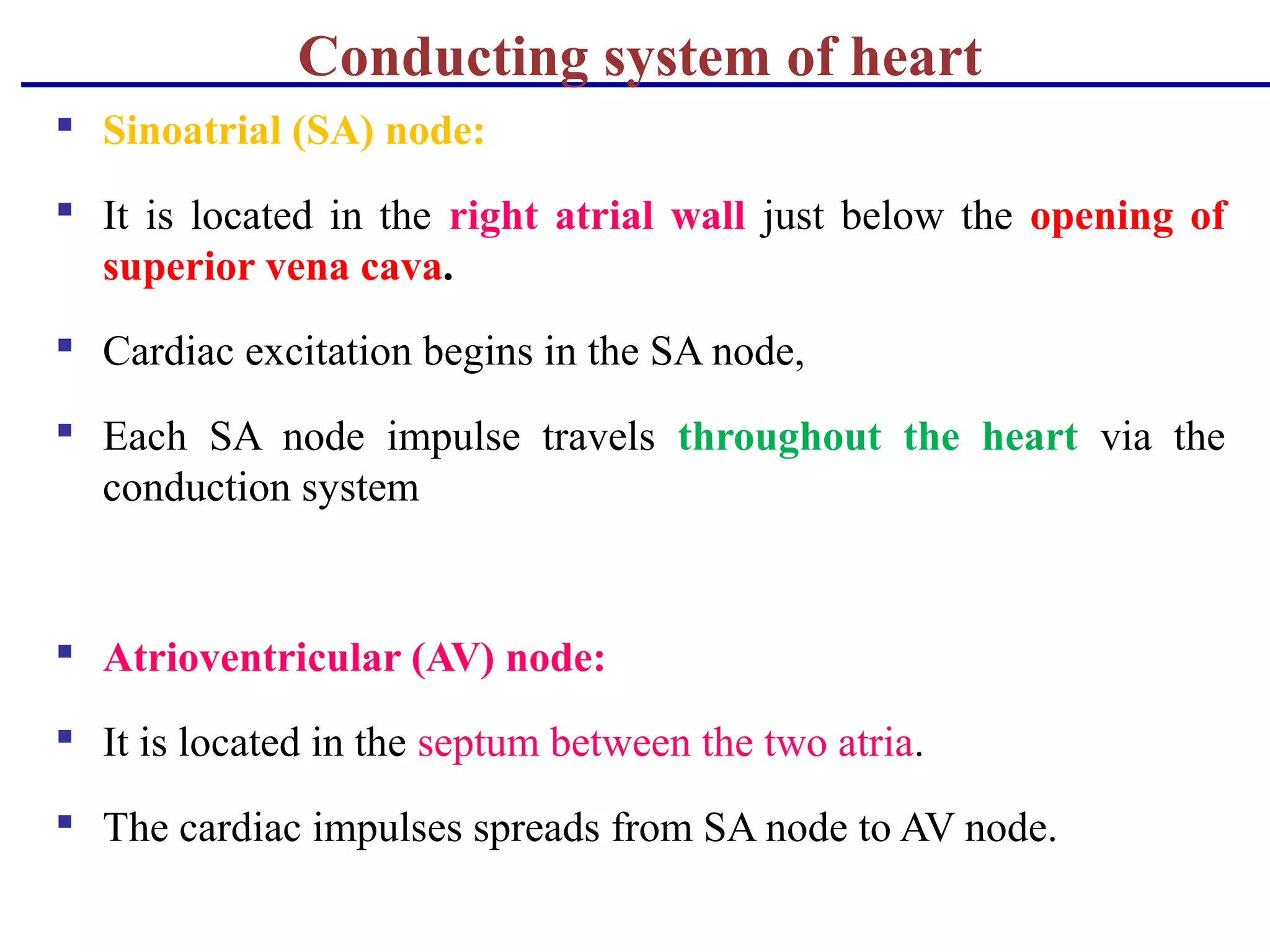 Cardiovascular system | PPT