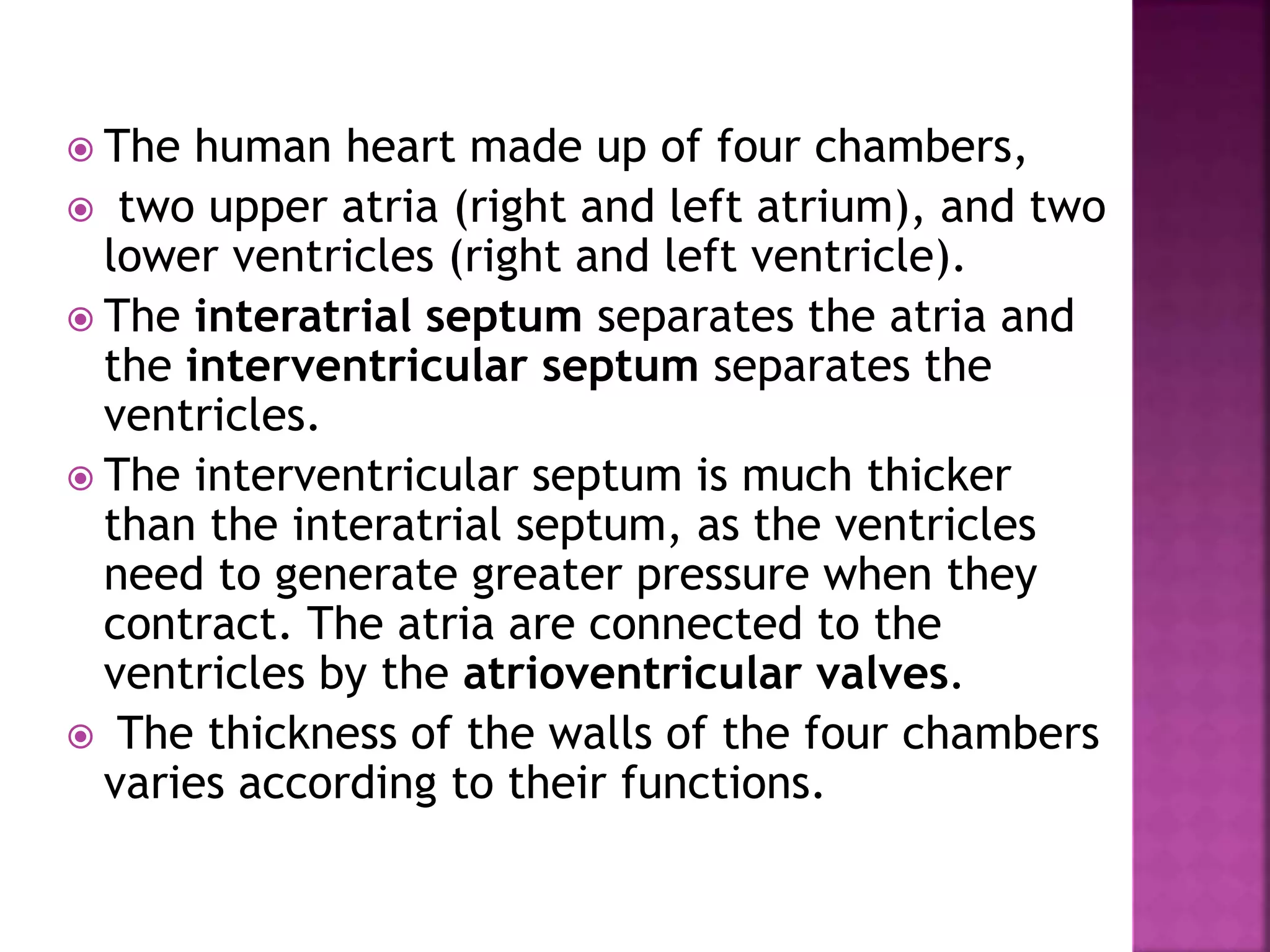 Human Cardiovascular system | PPTX