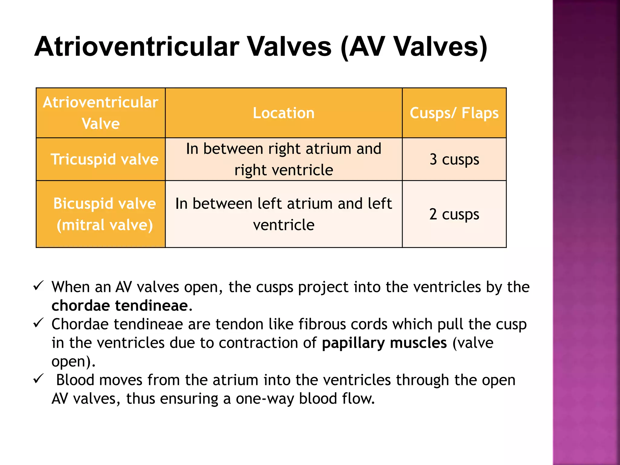 Human Cardiovascular system | PPTX