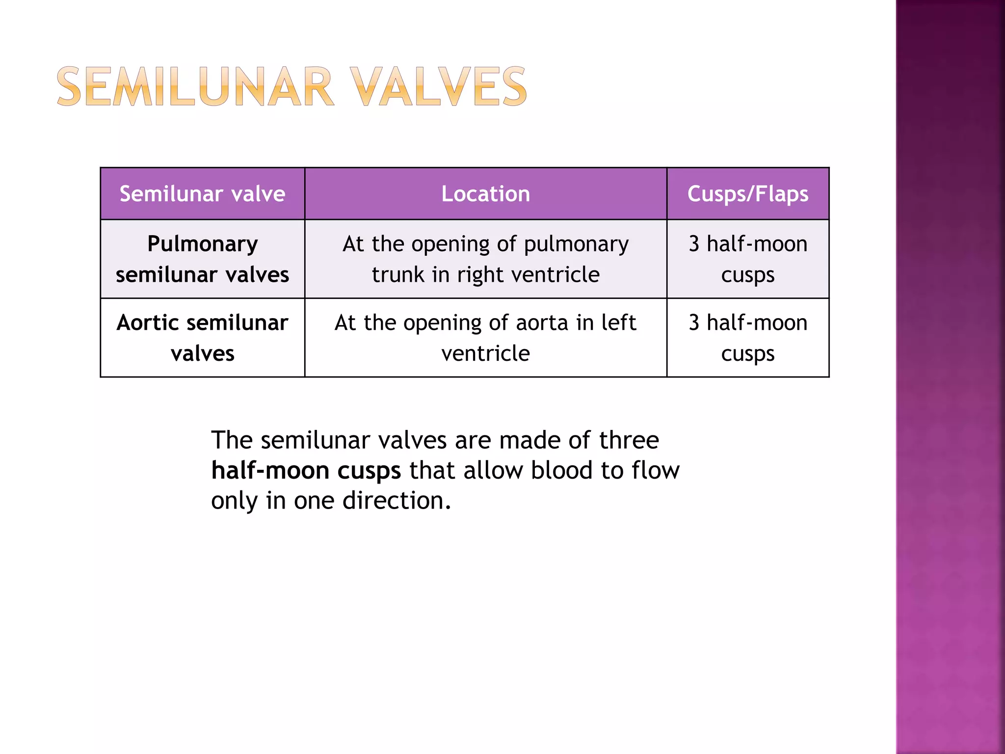 Human Cardiovascular system | PPTX