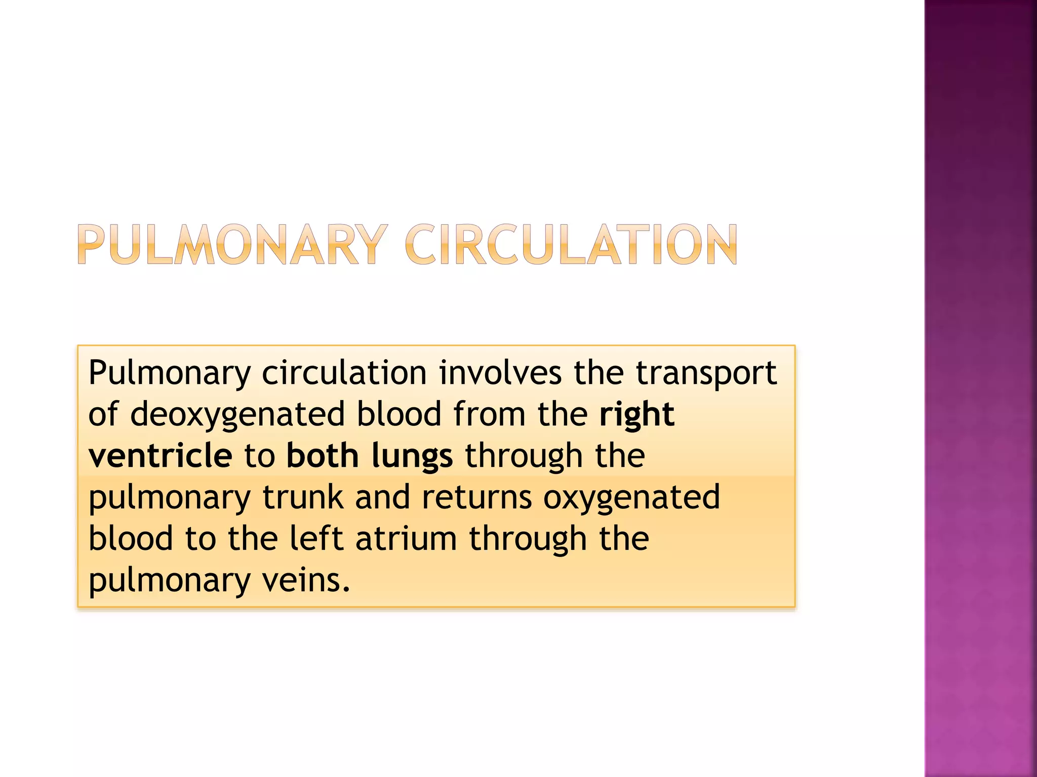Human Cardiovascular system | PPTX