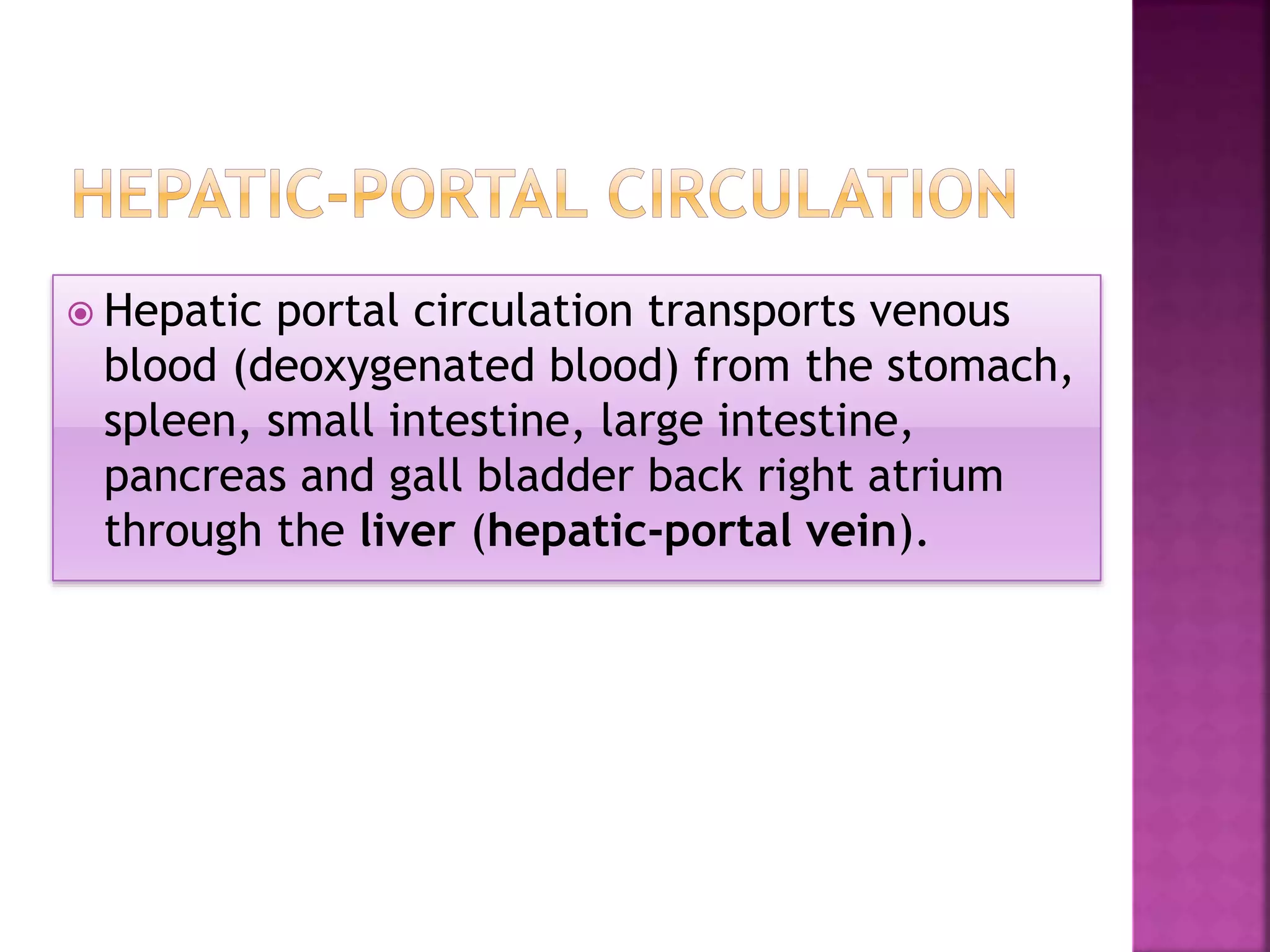Human Cardiovascular system | PPTX