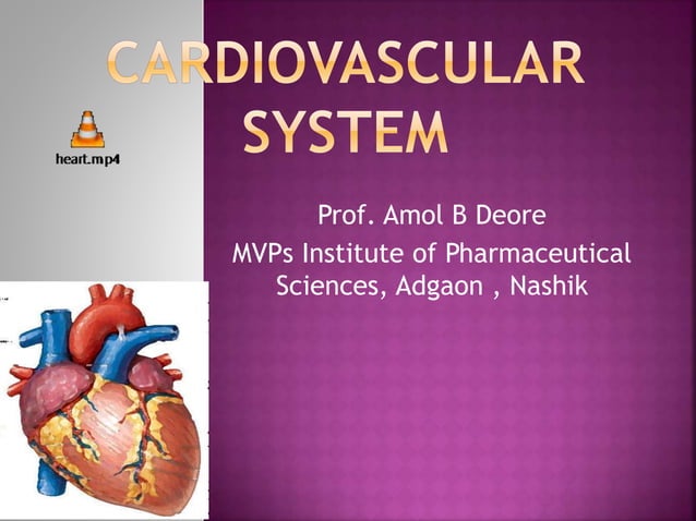 Human Cardiovascular system | PPTX | Heart and Cardiovascular Diseases | Diseases and Conditions