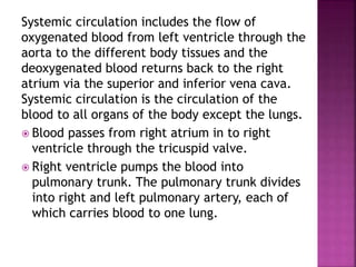 Human Cardiovascular system | PPTX