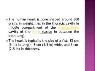 Human Cardiovascular system | PPTX