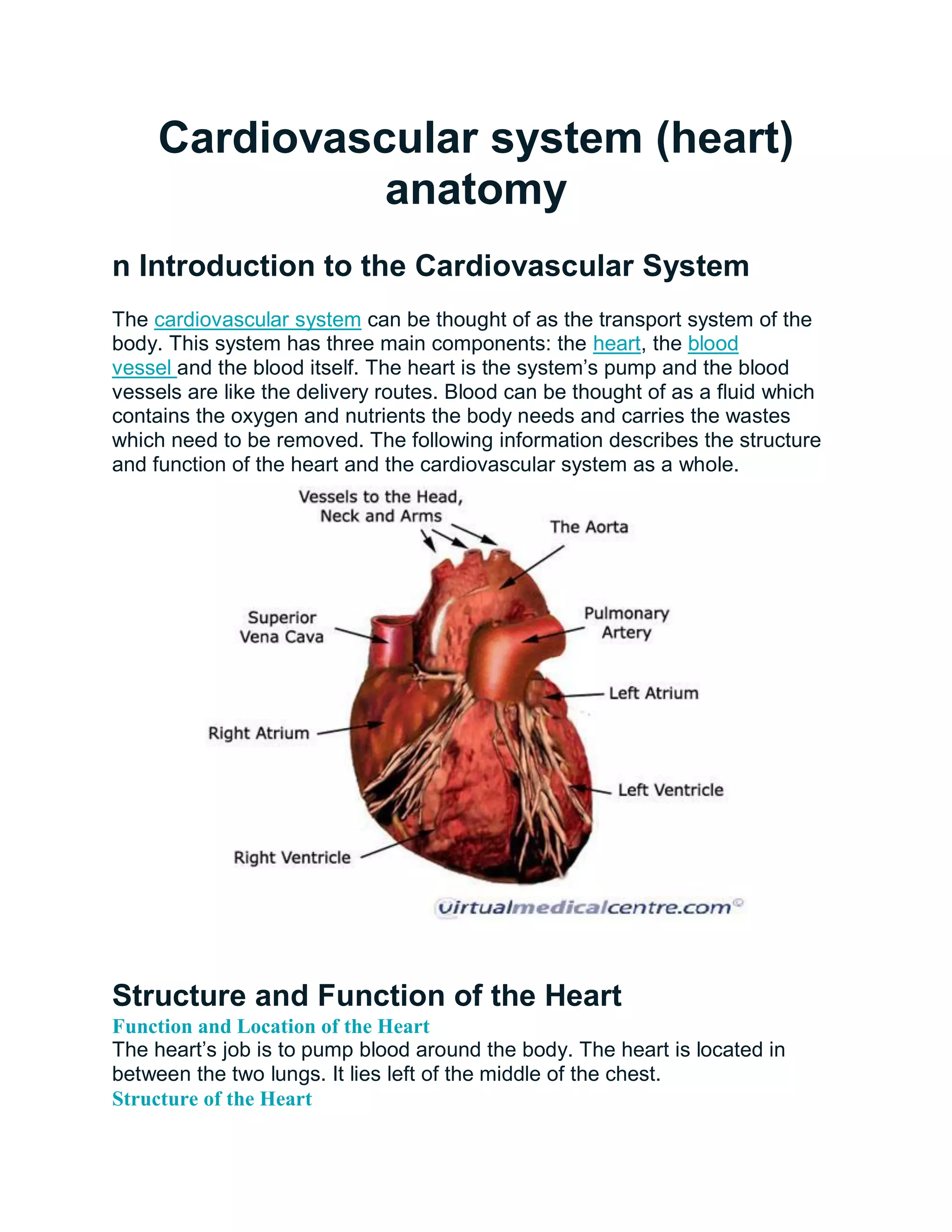 Cardiovascular system | PDF | Heart and Cardiovascular Diseases ...