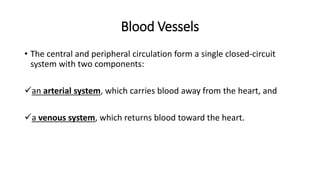 Cardiovascular system | PPT