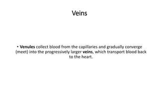 Cardiovascular system | PPT