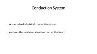 Cardiovascular system | PPT