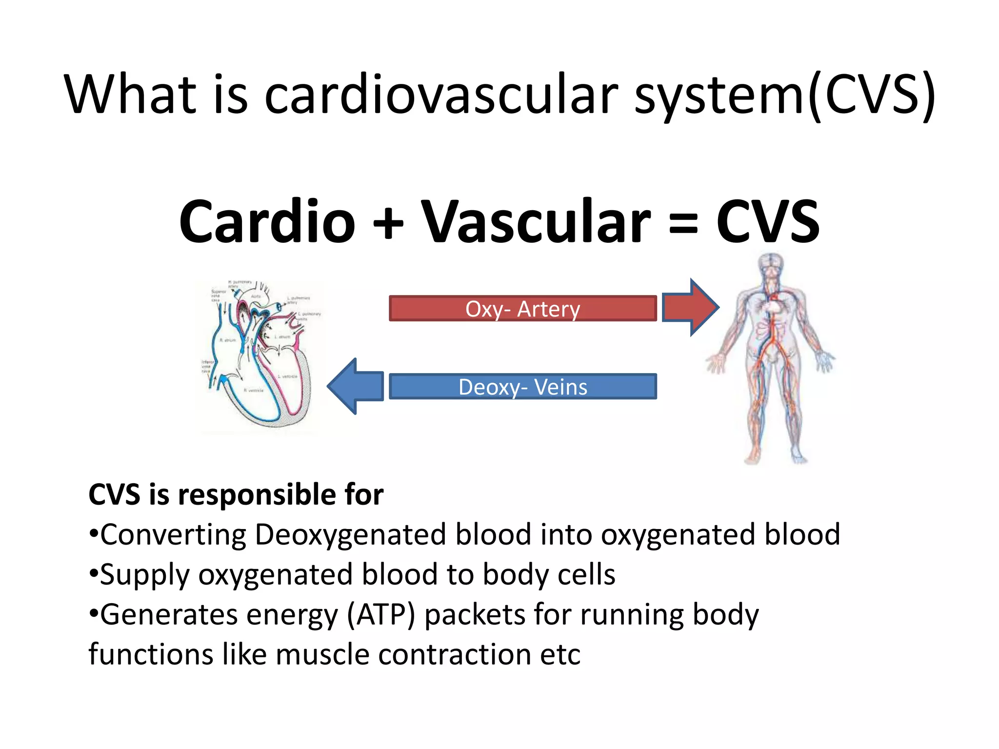 Cardiovascular system | PPTX